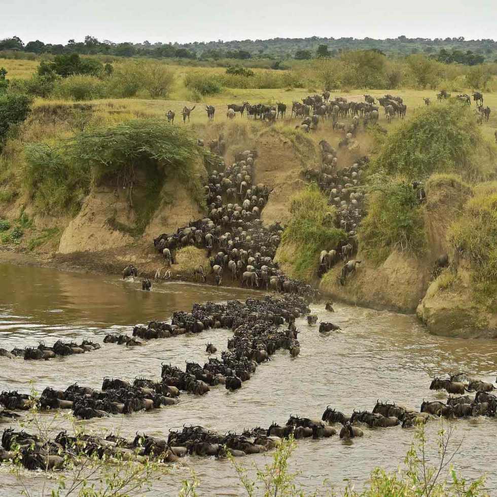 Kogatende Northern Serengeti Mara - Heritage Camps and Lodges